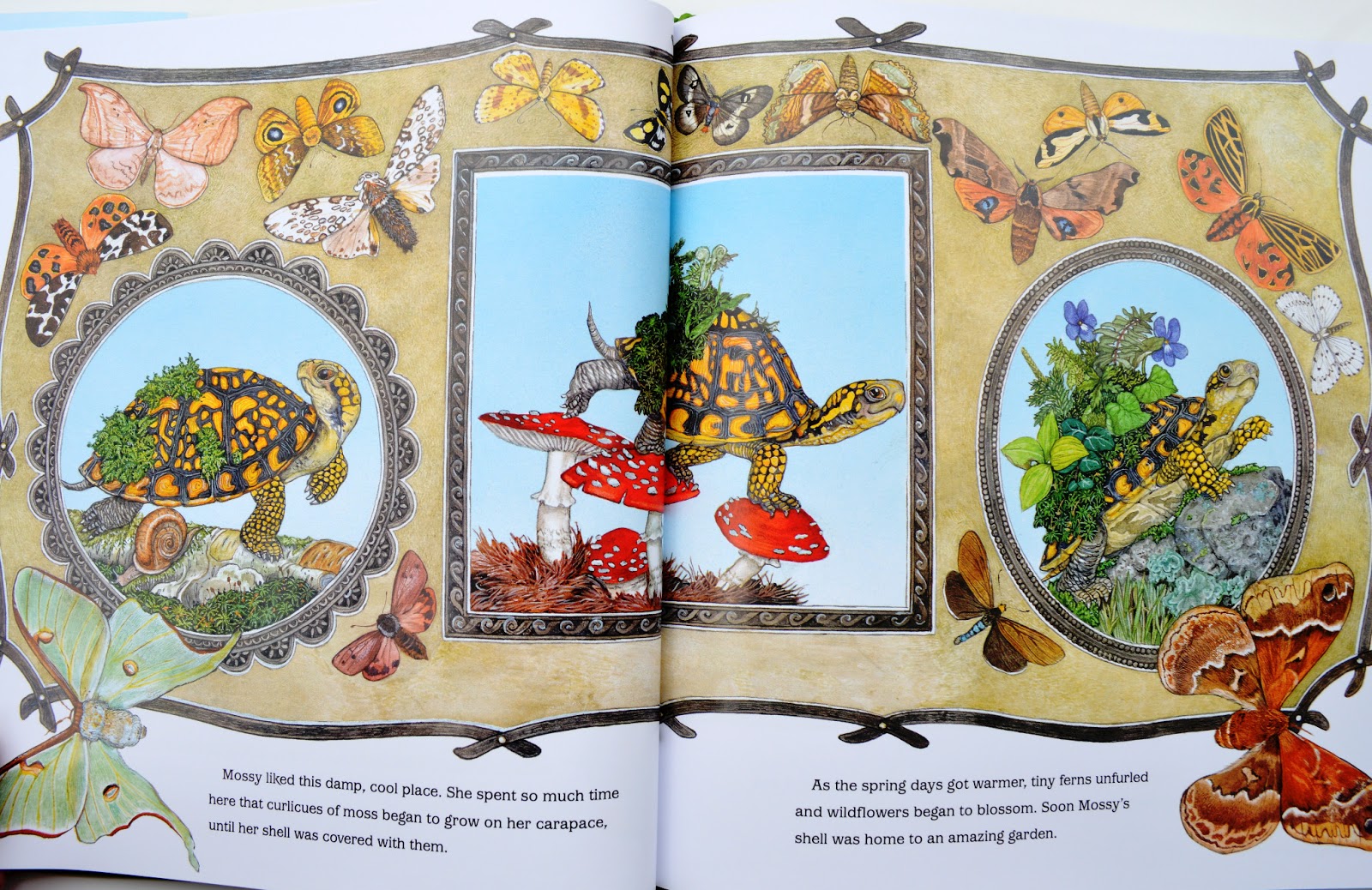 TEXTILE TROLLEY: A book review: Mossy by Jan Brett