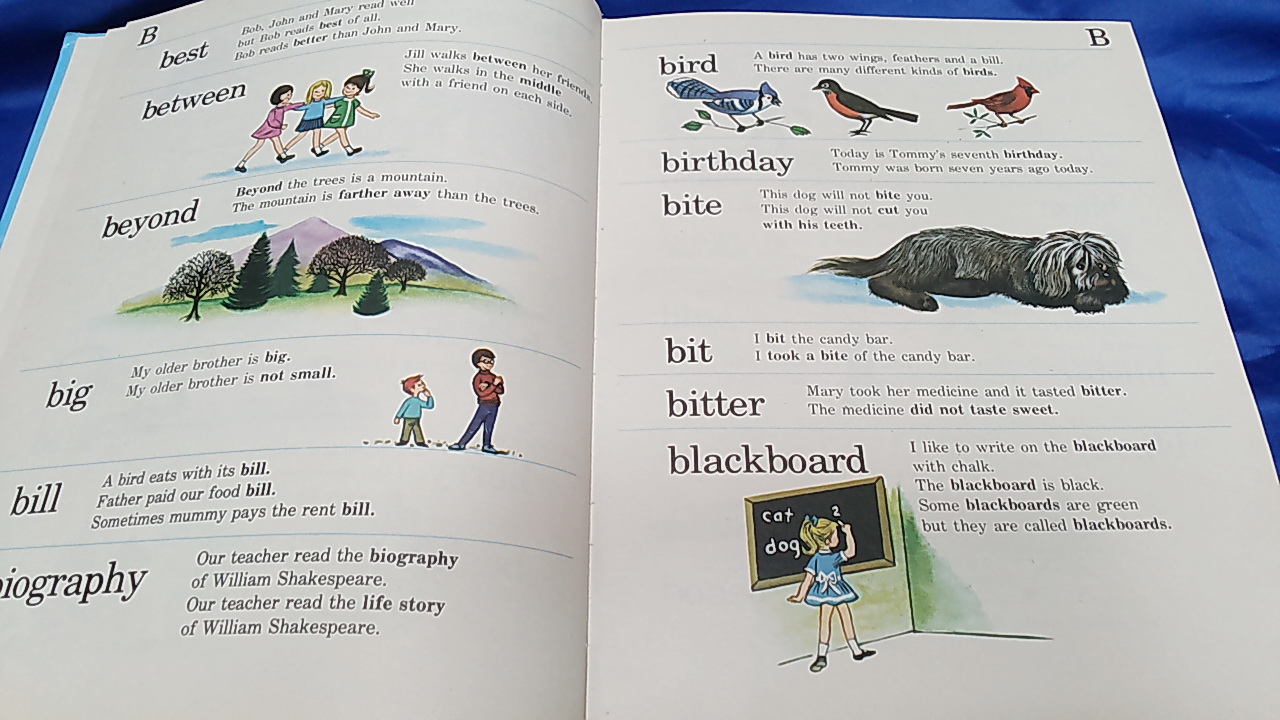 Kid Books Blog: 158.The New Colour-Picture Dictionary for Children