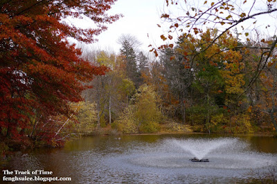 Autumn of the Elizabeth Park (3) | The Track of Time