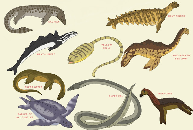 Kriptozoológia - Az állatvilág rejtélyes oldala: Ismertető ...