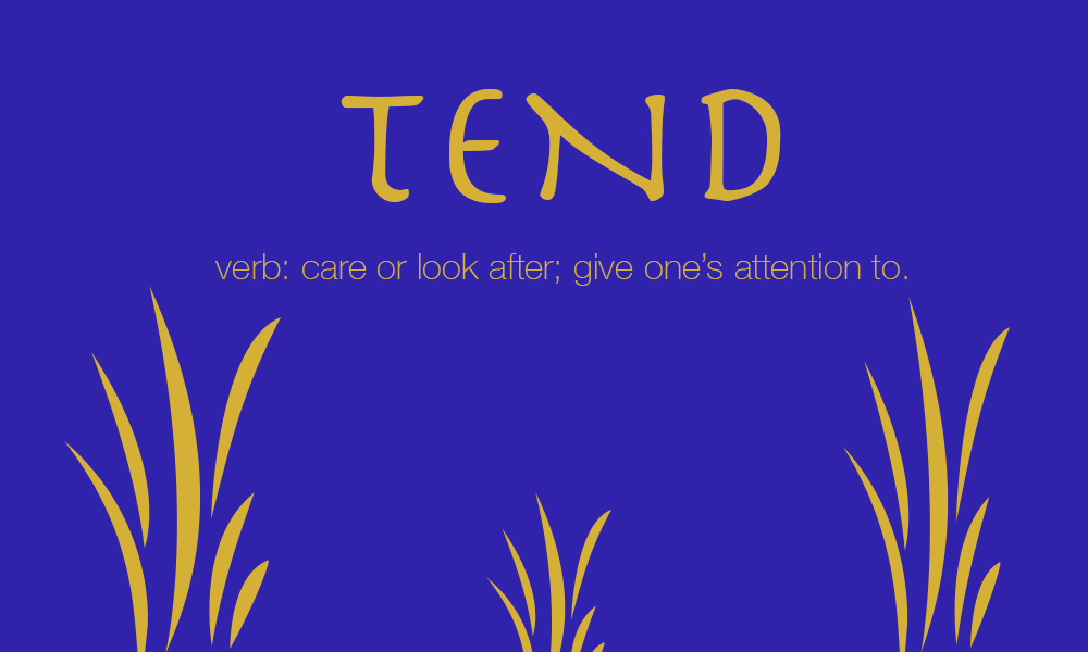 Author Katie M. John & Kate John: Monday Musings: Why TEND is my word ...