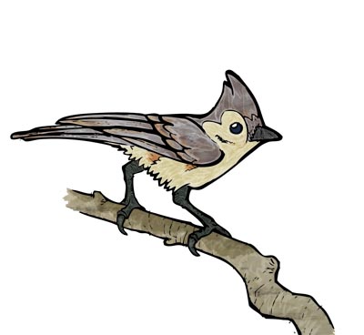 The Sketchy Art Corner of Steve RAFFLE: 2012