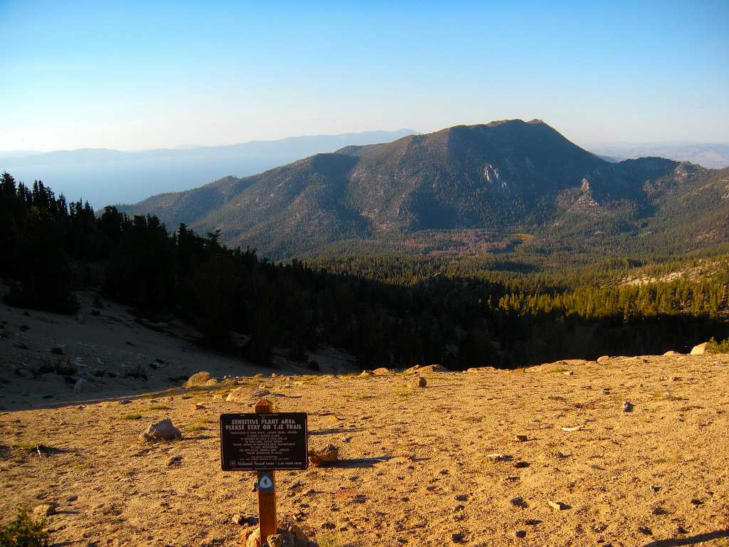 Life is a mountain.: Freel Peak, CA