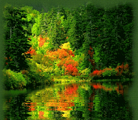 vavelhaber: NATURE AUTUMN ΦΙΝΟΠΩΡΟ ΑΝΙΜΑΤΙΟΝ (GIF)