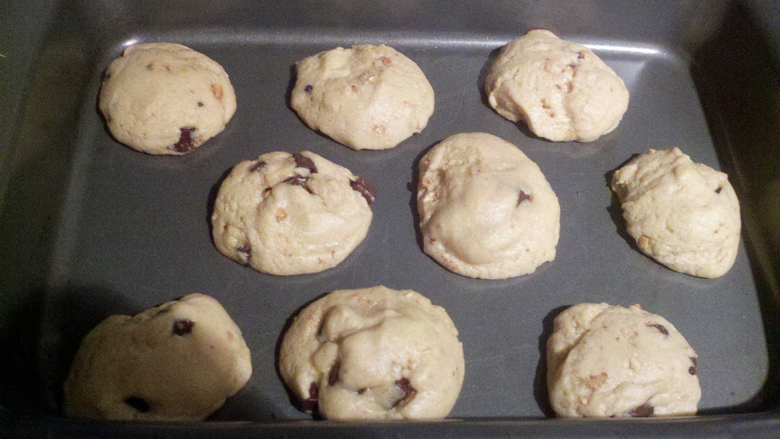 Survival of the Scrumptious: The Best Chocolate Chip Cookies
