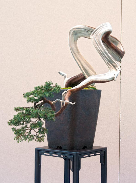 Walter's Travelogues: EBA 2011 the EBA tree exhibit #2