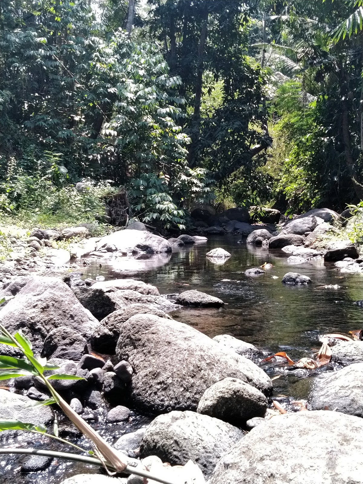 Pengalaman Baru Berkuda di Bale Kuda Stable
