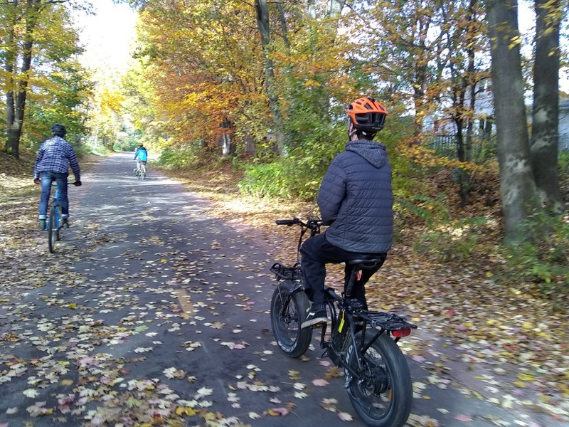 anniebikes: Rad Mini - Overkill or Practical E-Bike?