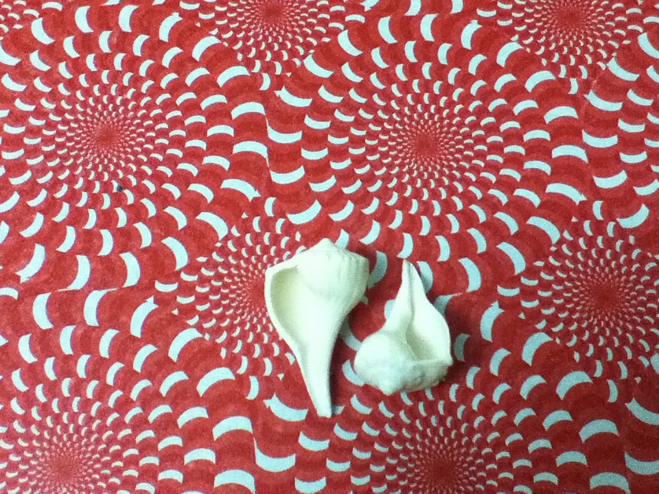 Sri Lakshmi Shankh: Original Valampuri Sangu For Sale in Chennai