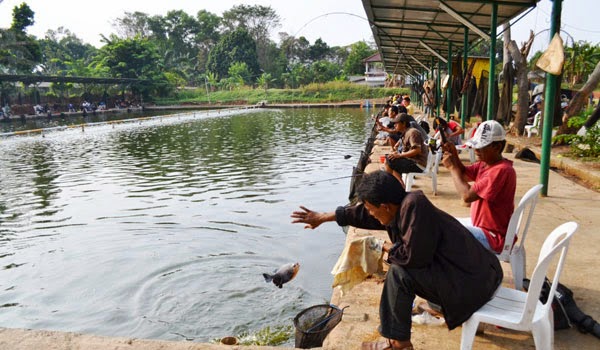 WARTA PANCING: Teknik Memancing Kolam Galatama
