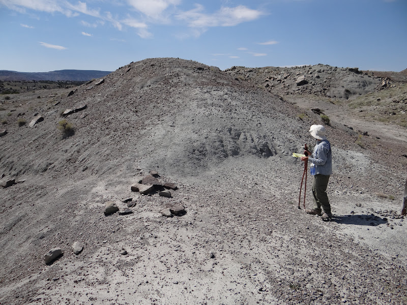 Our trip to the Southwest: August 9: The Dinosaur Pit