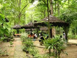 Monumen Hutan Jati (Blora - Jawa Tengah)