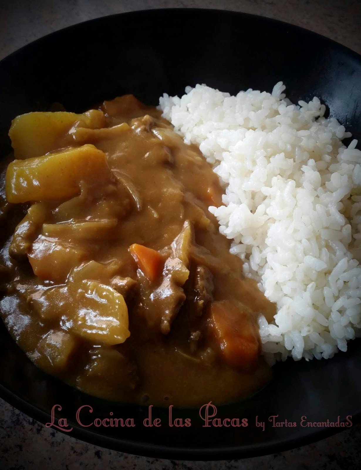 Salsa al curry japonés con arroz ( Taka-Sasaki)