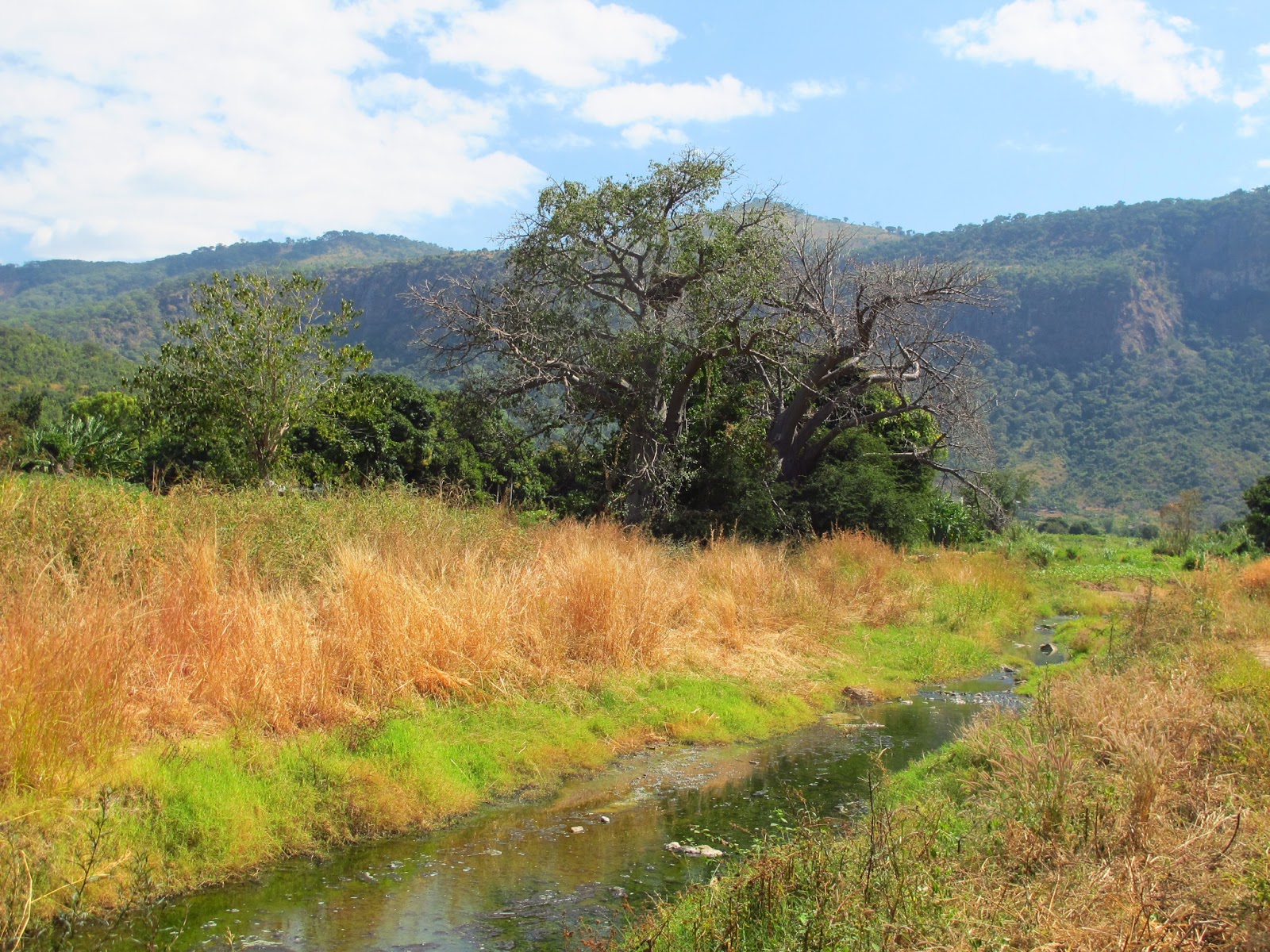 Leo in Malawi: Hot spring close to Chiweta and walk participants