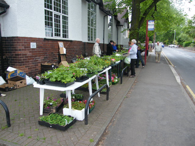 Snappy's Gardens Blog: Walton Plant Stall 2011