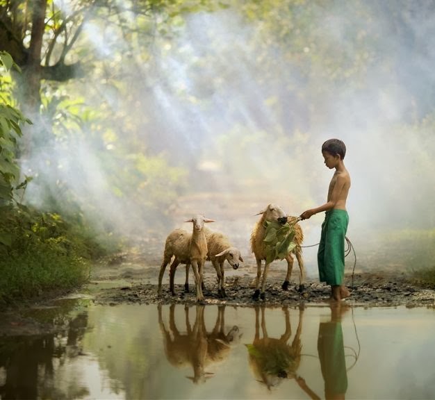 Daily Life Photography ~ Big Wave Sharing