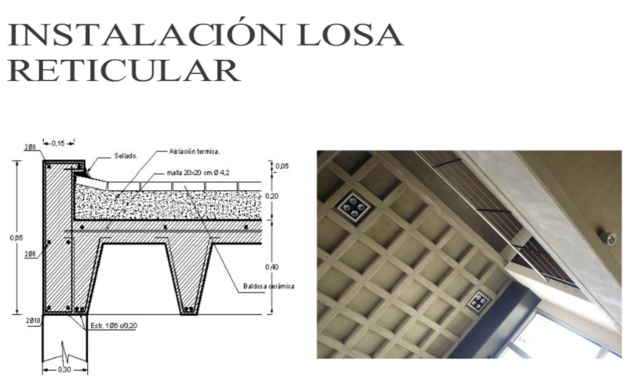 Karla Giovanny Dominguez Palacios: LOSA RETICULAR O NERVADA