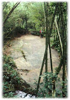 sitios turisticos sasaima: SITIOS TURISTICOS DE SASAIMA, CUNDINAMARCA