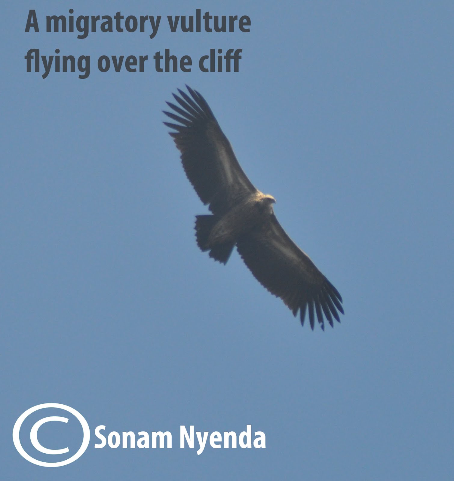 Sumthrang Monastery: Significance of Sombrang (sumthrang) Brag (cliff)