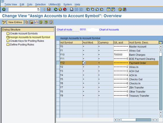 SAP FICO Central: Payment Order Configuration