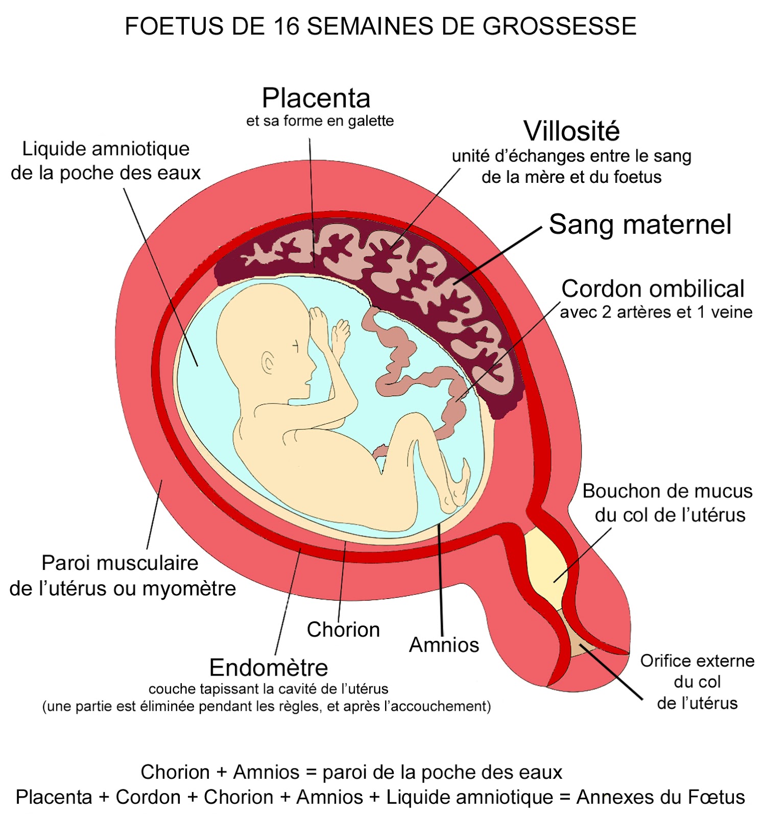 Le blog-notes de la Mansarde: 01/07/2015 - 01/08/2015