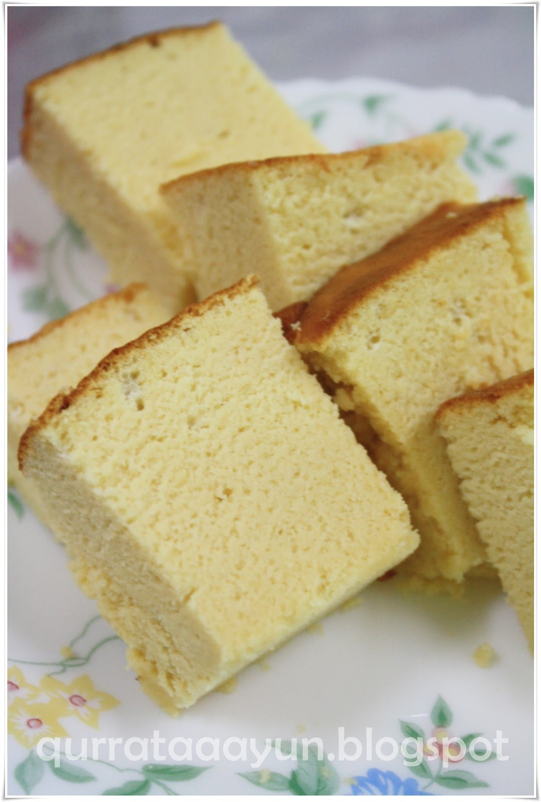 Life is a Constant Battle: Slice Cheese Cake- 1st trial