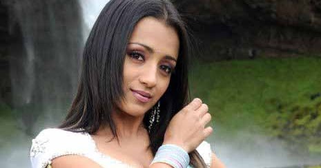 Trisha Looks Hot in Dual Color Saree - Saree Blouse Patterns