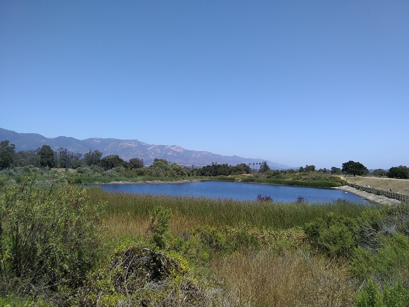 Little Patch of Earth: Lake Los Carneros