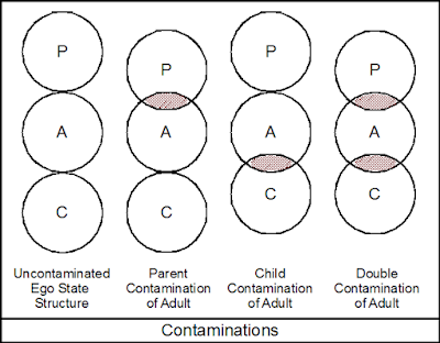 Transactional Analysis Theory and Practice: Transactional Analysis ...