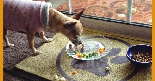 bailey unleashed .com: messy marvin