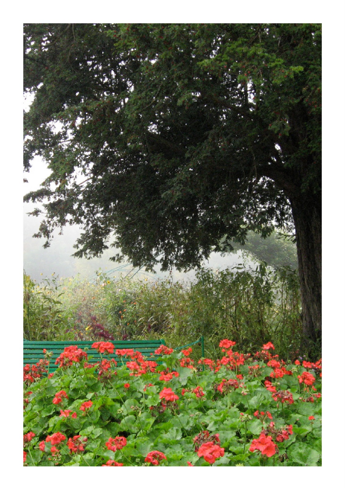 Coco Rae: COCO RAE | La mémoire de Paris