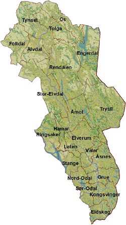 BibliotekHedmark : Bibliotek i Hedmark