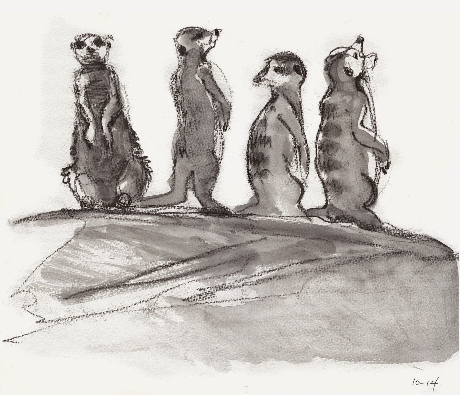 Mongoose Animal Drawing