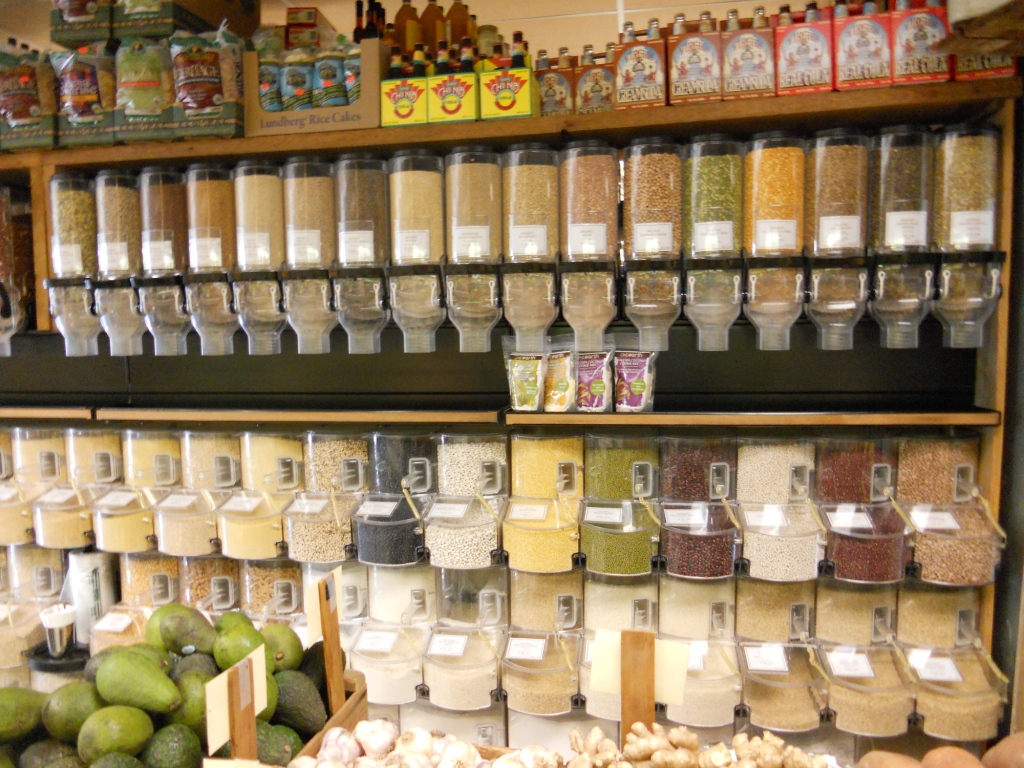 Snacking Squirrel: Salt Spring Island Part One