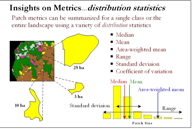 الجغرافيا : دراسات و بحوث جغرافية: Landscape Metrics for Categorical ...