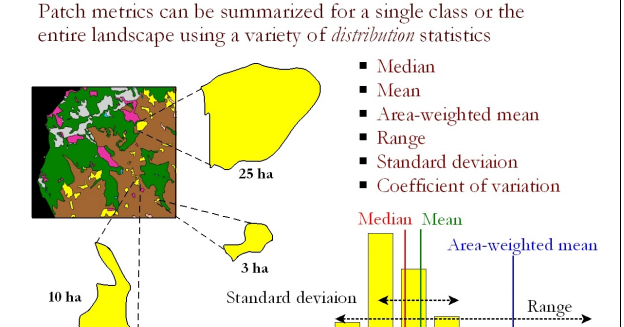 الجغرافيا : دراسات و بحوث جغرافية: Landscape Metrics for Categorical ...