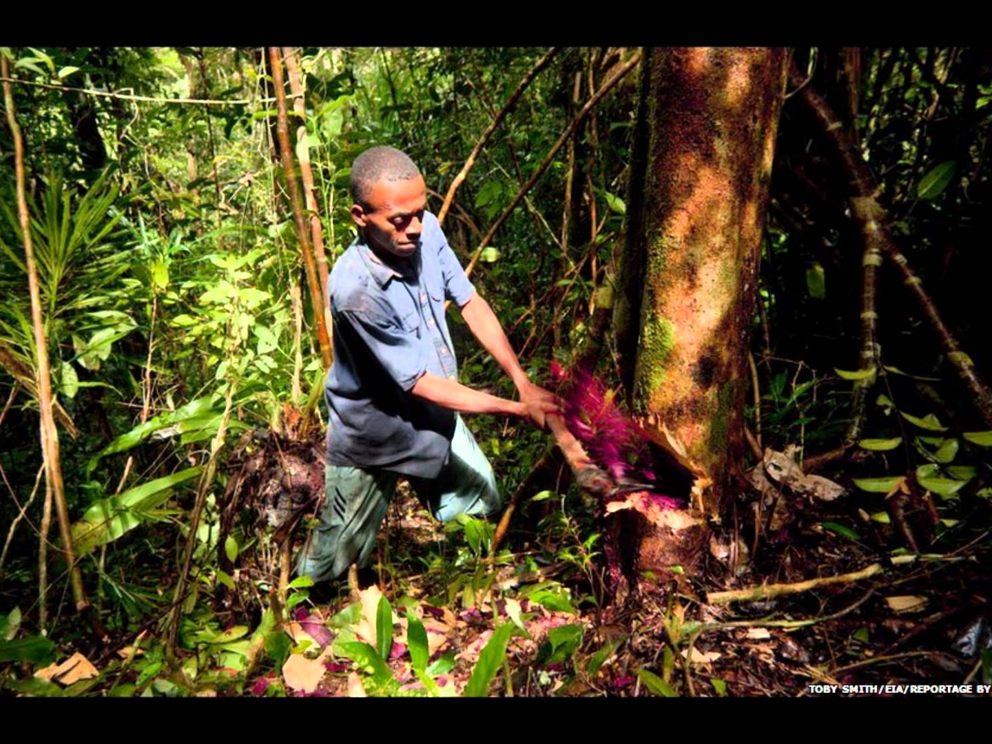 pagtotroso - philippin news collections