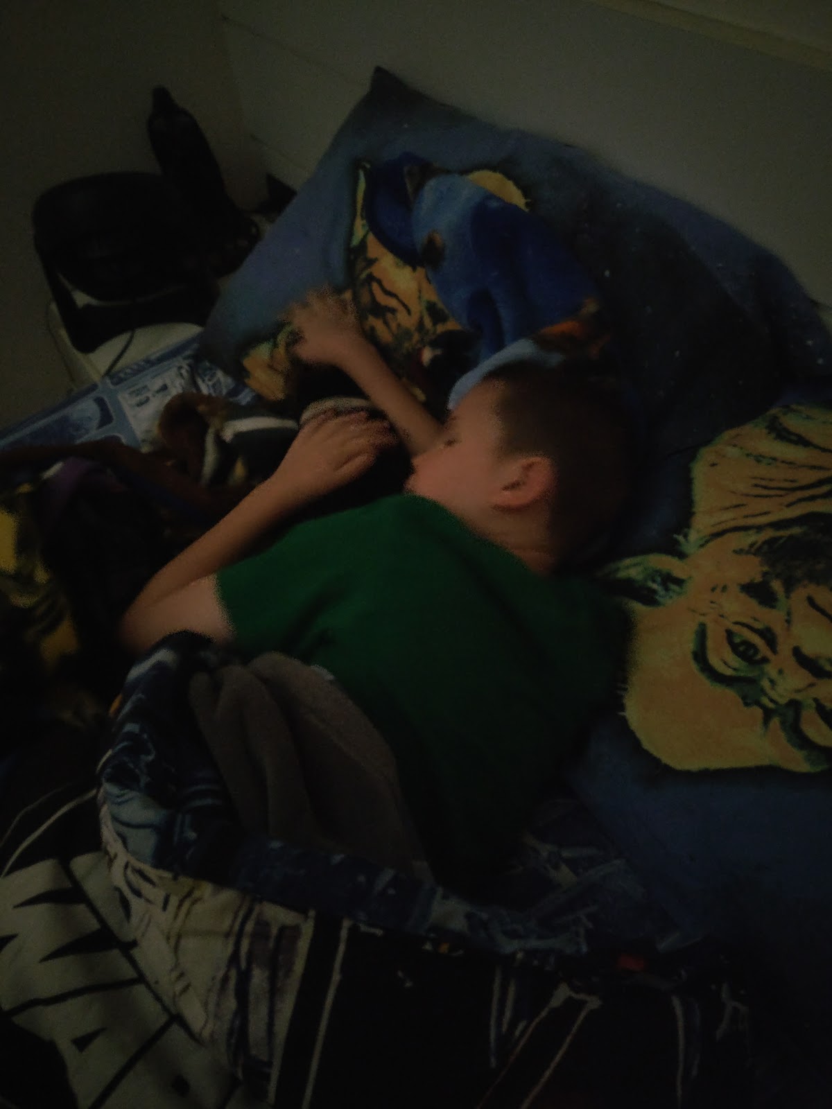 Schrage Family: The Brazilian Adventure / A Aventura Brasileira: August ...