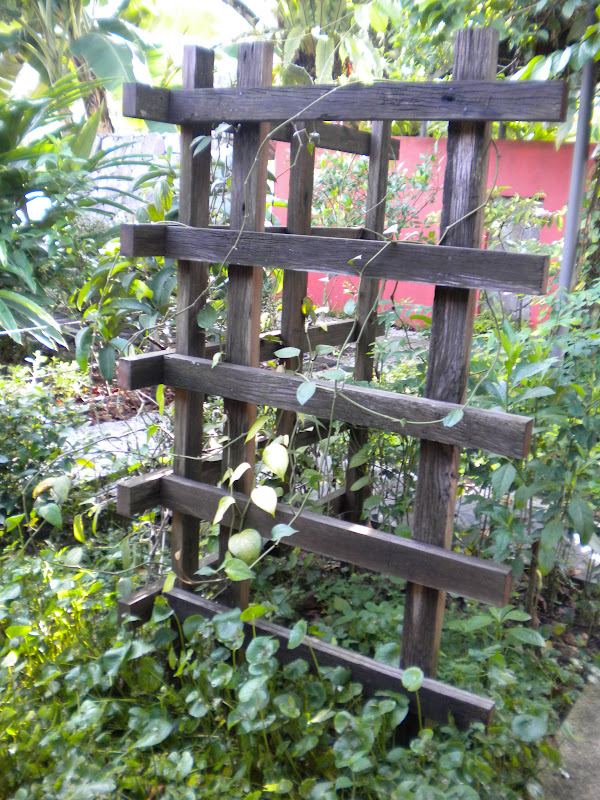 taman ramuan: trellis