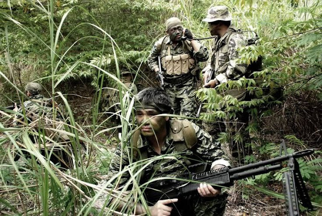 Vietnam -THE WAR PLUS AGENT ORANGE and MORE : SECRETS OF VIETNAM: THE ...