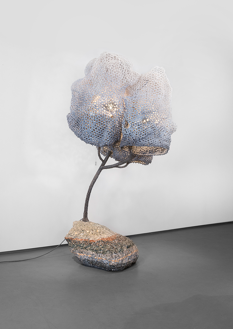 la casa por el jardín: el bosque de nacho carbonell