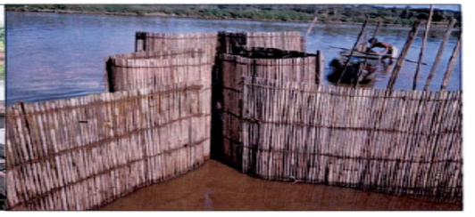 AQUA ANIMALIA: FISHING DEVICES IN INDIA - Fish Traps and Hook & Lines