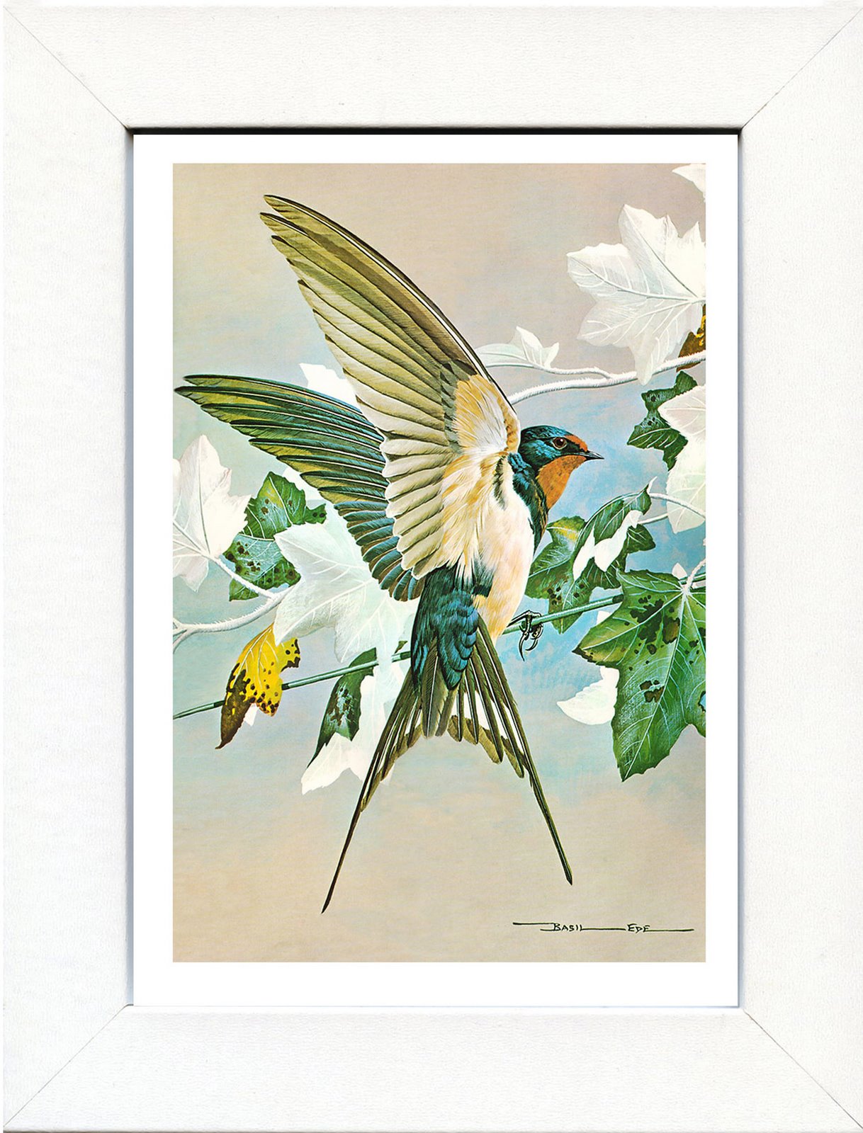 jjjewel.resimlerim: KUŞ VE ÇİÇEK TEMALI RESİMLER