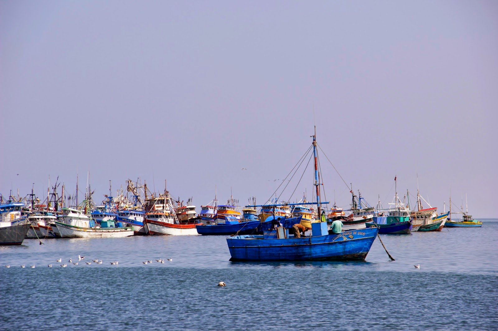 Foto_gramas: Conociendo Paita, Yacila y Colán / PIURA - PERÚ octubre 2014