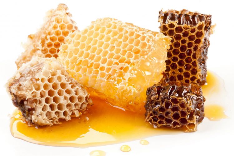 Cara Mudah Menguji Madu Asli Atau Palsu