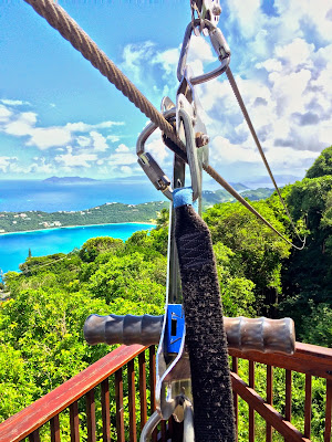 Tree Limin' Extreme: Top 10 Things to do in the Virgin Islands