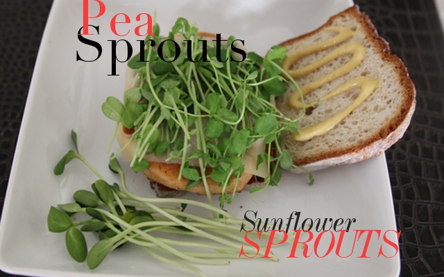 Eat your peas (sprouts): Pea Sprout Extract proven increase hair growth ...