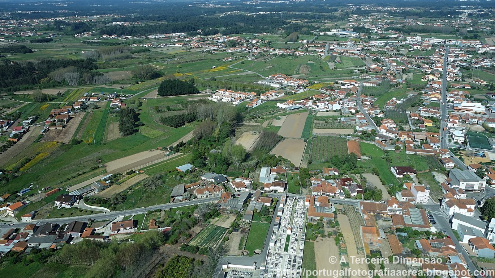 A Terceira Dimensão: Bustos