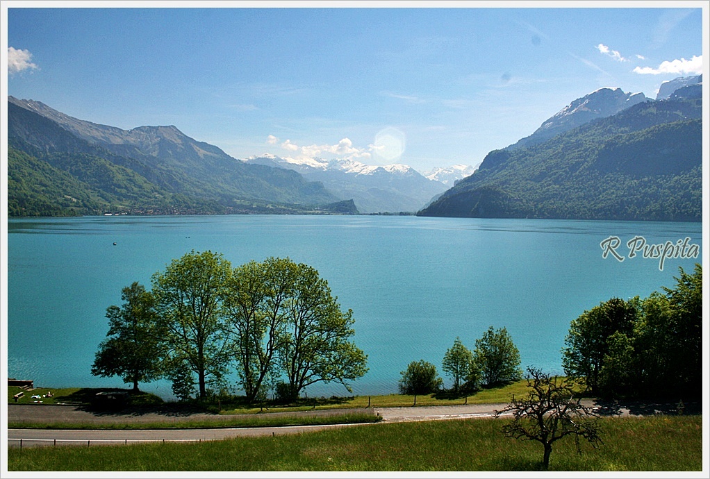 Swiss nature pics.. | Prachi Chourey