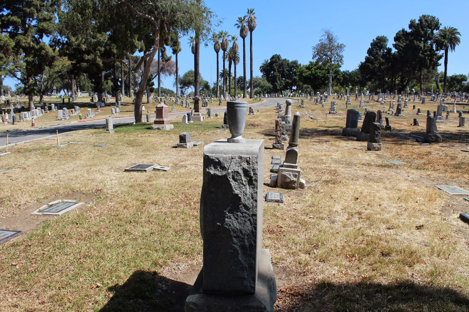 Set-Jetter & Movie Locations and More: Predator 2 (1990)